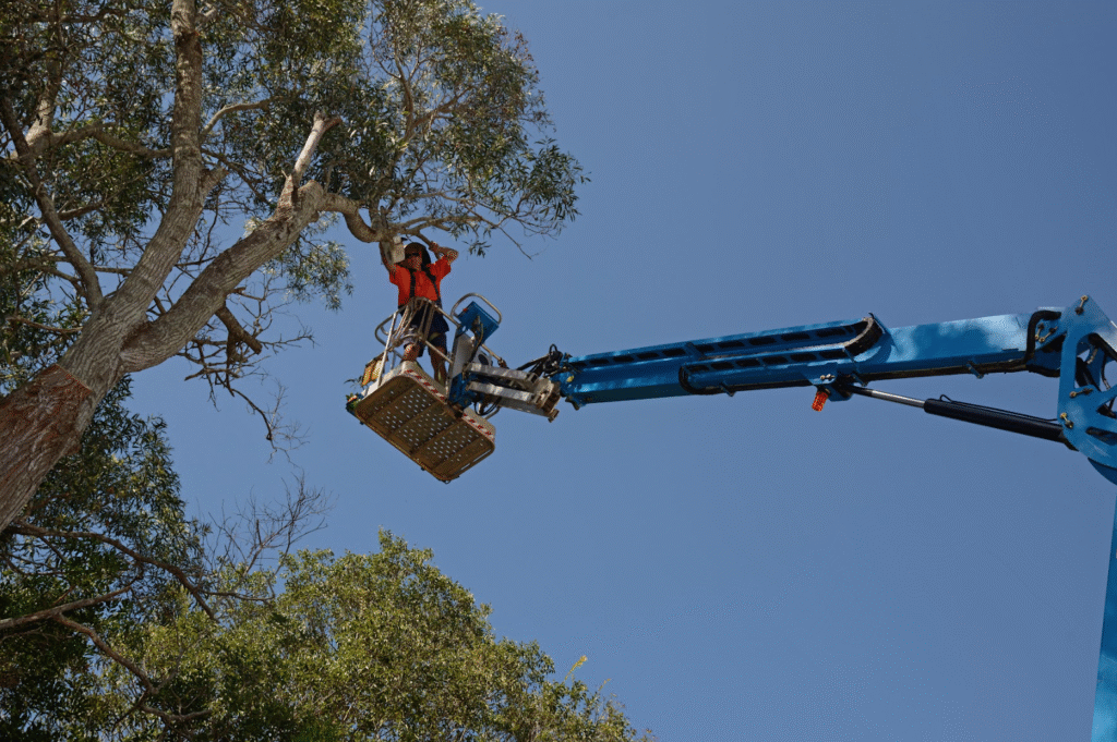 EWP Training in Canberra - EWP Ticket - AlertForce